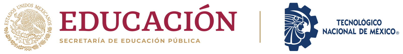 Redes de investigación TecNM